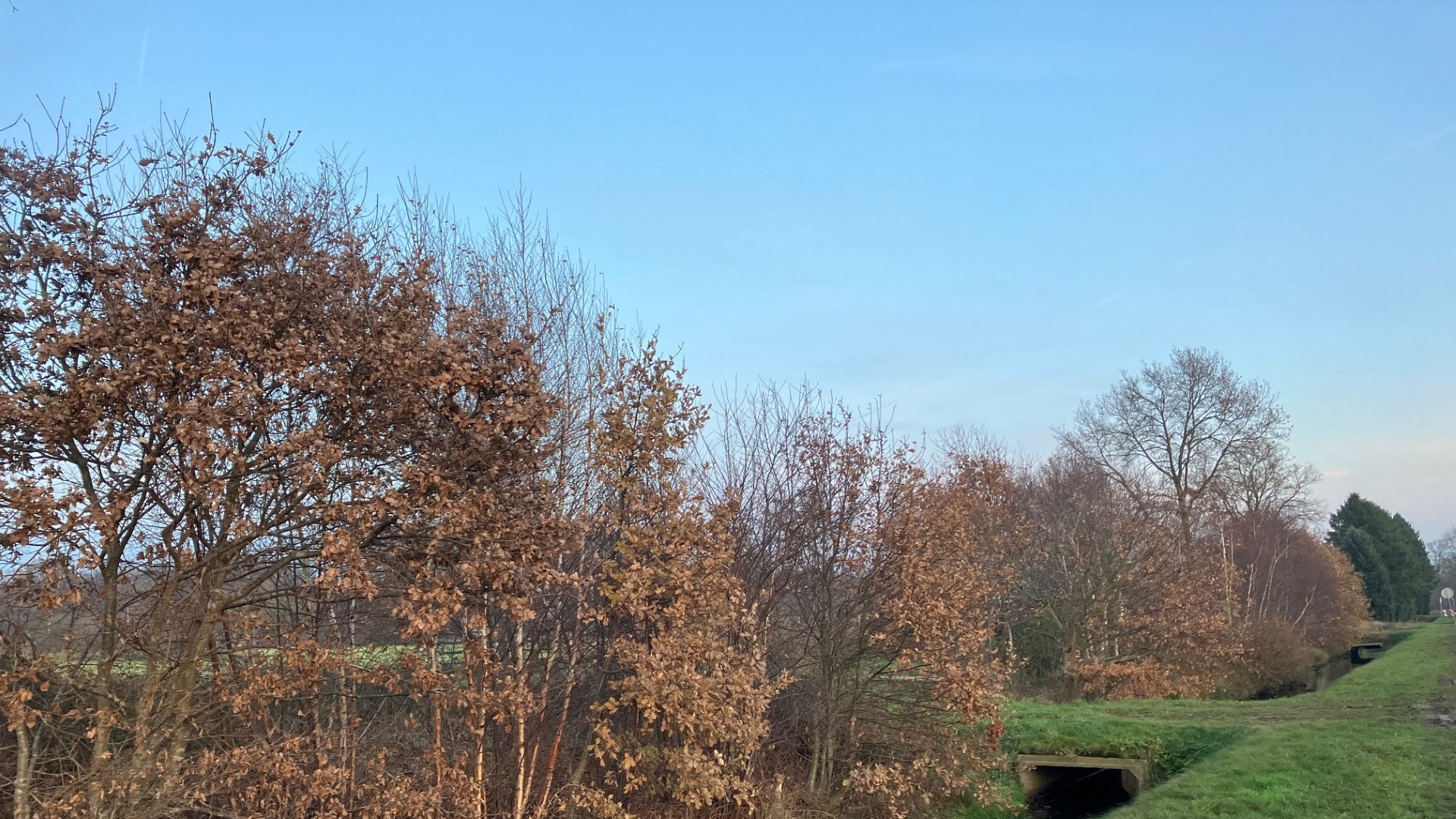 Bomen aan Boôvenen weg, natte natuur terug | Bargerveen-Schoonebeek